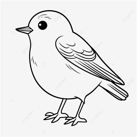 صور تلوين حيوانات وطيور للتلوين OFF