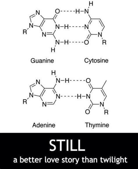 Adult Science Jokes Page 53 The TFP