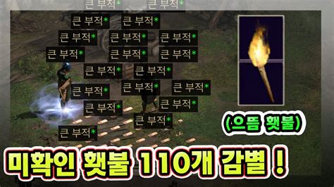 【디아블로2 레저렉션】 래더 5기 으뜸 횃불 떴습니다 미확인 횃불 110개 감별 결과 Youtube