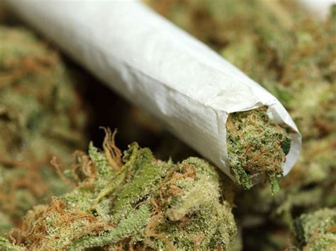 Nhlanhla convicted for possession of dagga – Ridge Times