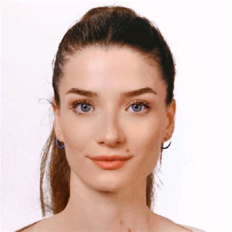 Meryem Bircan Linkedin