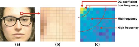 A Face Sample B A Small Neighbourhood C Corresponding Dct Download Scientific Diagram