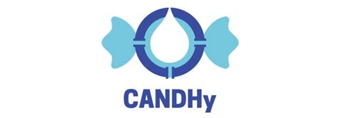 Candhy Project Tests Hydrogen Tolerance Of Non Steel Metallic Materials