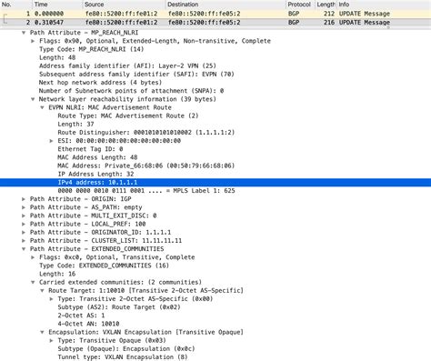 Cumulus Basics Part Vi Vxlan L2vnis With Bgp Evpn The Ascii Construct