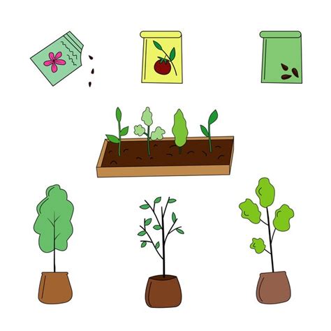 Premium Vector Vector Illustration Set Of Plant And Tree Seedlings