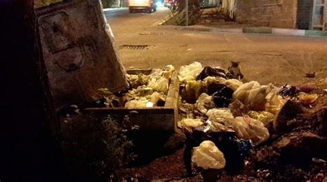 حمله شبانه زباله گردها به مخازن زباله تهران تصاویر تسنیم