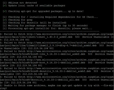 failed to fetch packages while installing pi hole troubleshooting