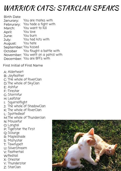 Warrior Cats Starclan Speaks
