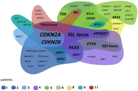 optical genome mapping reveals and characterizes recurrent aberrations and new fusion genes in