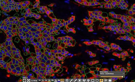 We Are Excited To Announce The Launch Of Halo Halo Ai And Halo Link 4 0 Indica Labs