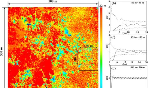 graphs showing the variations of tree spatial distribution patterns