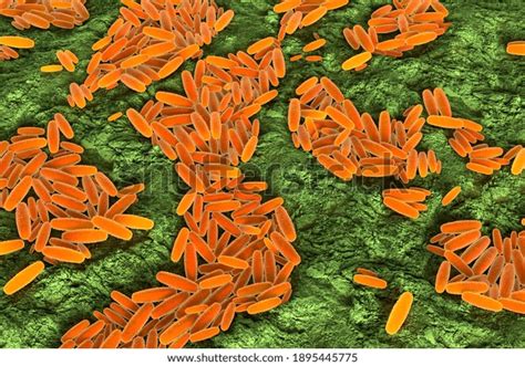 3d Illustration Pasteurella Multocida Bacteria Stock Illustration