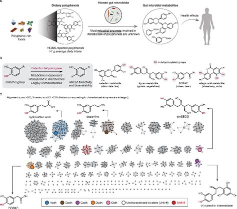 Figure 1 From Metatranscriptomics Guided Discovery And Characterization