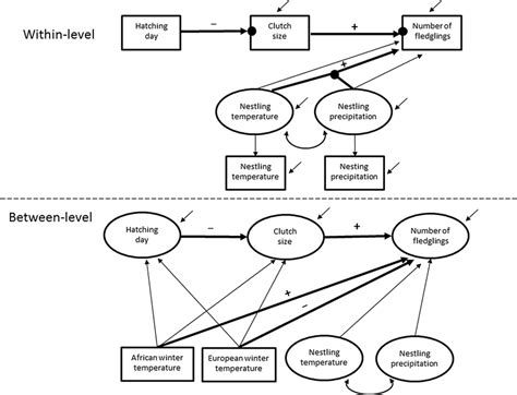 Multilevel Structural Equation Modelling Looking At How Selected