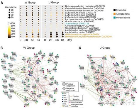 科研思路｜science：宏基因组关联分析揭示肠道菌群短链脂肪酸代谢与ii型糖尿病的关系 知乎