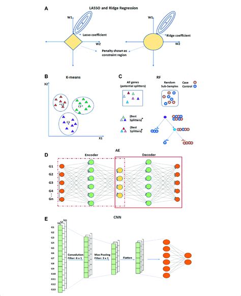 Embedded Approaches Performs Feature Selection And Extraction A