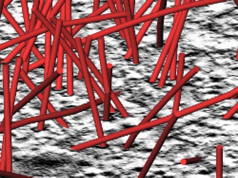 Segmentation Of Microtubules From Electron Tomograms Zibde