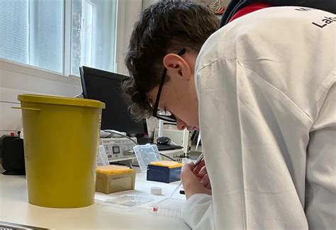 School Work Experience Programme Feature From Kings College London