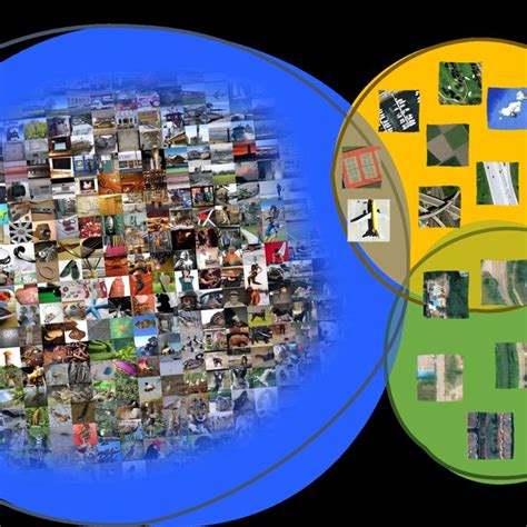 conceptual view of the class membership overlap of the different