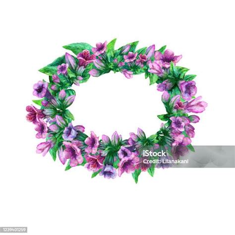 폐모나리아 드로잉 폐워트 꽃 요소 그려진 야생화 화환 타원형 프레임 배열 화환 텍스트에 대한 복사 공간이있는 꽃 수채화 그림 그림 템플릿입니다 0명에 대한 스톡 벡터 아트