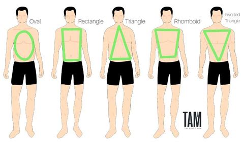 How To Dress For Your Body Type Look Great No Matter Your Shape
