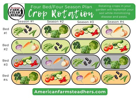 Crop Rotation Chart Vegetable Garden Planning Made Easy