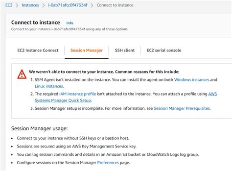 Aws Ec2 Error Raws