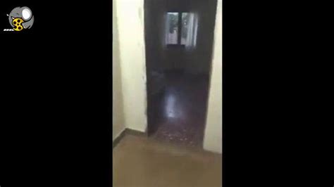 سعید والکور صدای جن ارواح ترسناک فیلو