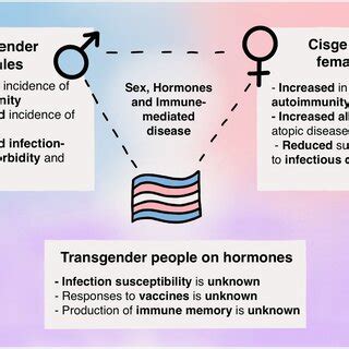 An Overview Of The Difference In Disease Incidence Between Cisgender Download Scientific