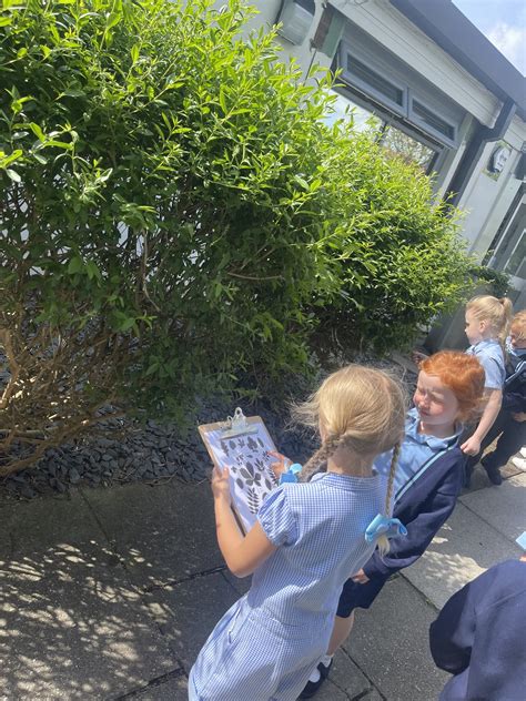 Year 1 Science Identifying Plants Delph Side Community Primary School
