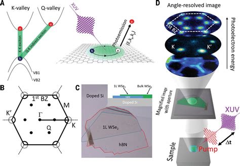 Directly Visualizing The Momentum Forbidden Dark Excitons And Their Dynamics In Atomically Thin