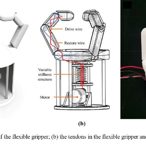 Pdf A Flexible Gripper With A Wide Range Variable Stiffness Structure Based On Shape Memory Alloy