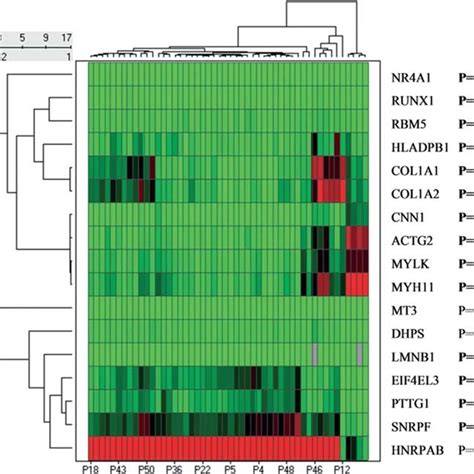 Hierarchical Clustering Heat Map For Tumor Rna Expression In 52 Crc
