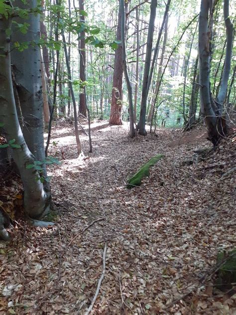 Земя в Бойково Земеделска земя 1997 кв м Не е посочено Земеделска земя градини лозя г