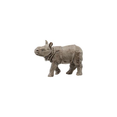 ინდოელი ჩვილი მარტორქა