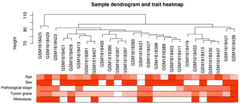 clustering dendrogram of 26 tumor samples and the clinical traits the