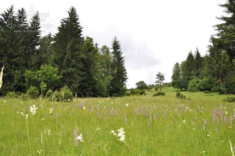 Ježůvka | Lokality | Astronomické cestování