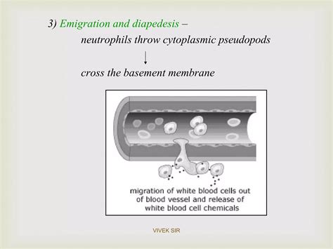 Inflammation Pathology Nursing Pptx