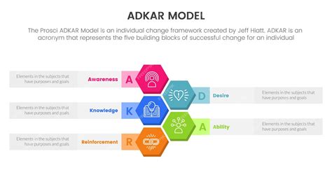 슬라이드 프리젠테이션을 위한 벌집형 수직 레이아웃 정보 개념이 포함된 Adkar 모델 변경 관리 프레임워크 인포그래픽 프리미엄 벡터