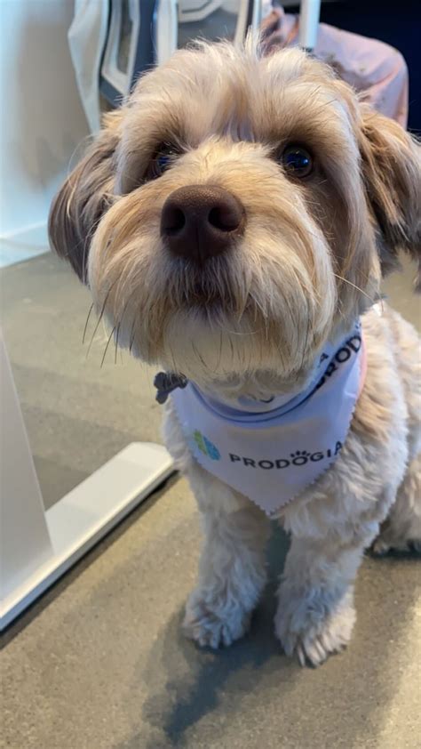 Peng Zhang Posted On Linkedin