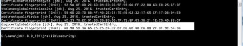 Java I Can Able To Consume The Webservice With The Ssl