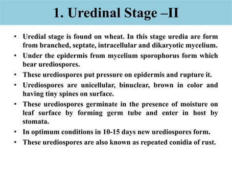 Life Cycle Of Pythium Albugo Erysiphe Claviceps Ustilao And Puccinia Fungi Pptx