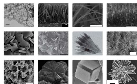 Overview Of Differently Sized And Shaped Tio 2 Nanostructures A