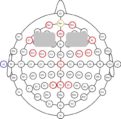 Figure 1 From Assessing TDCS Placebo Effects On EEG And Cognitive Tasks Semantic Scholar