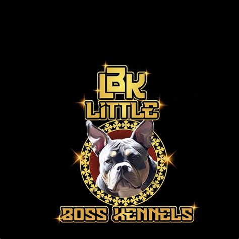 Jesse Rivera Youtube