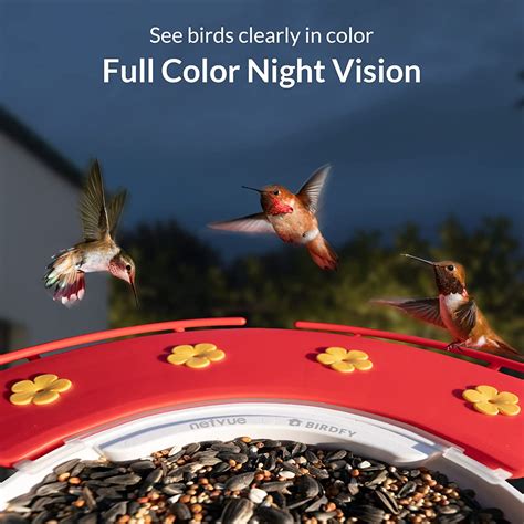buy netvue birdfy bird feeder cameras and add on accessories netvue