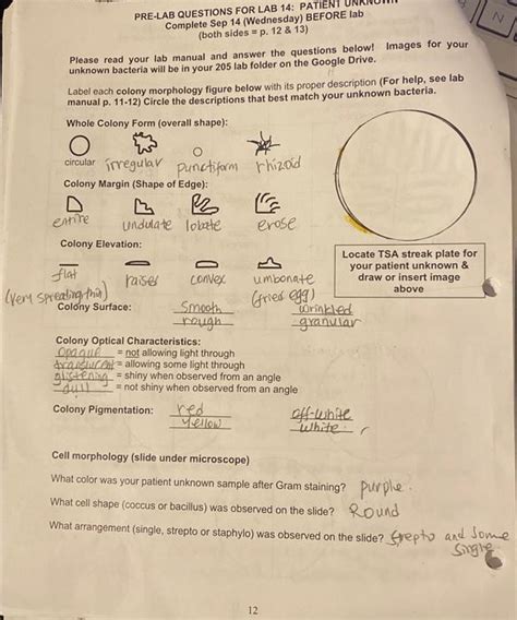 Pre Lab Questions For Lab 14 Patient Unknunt