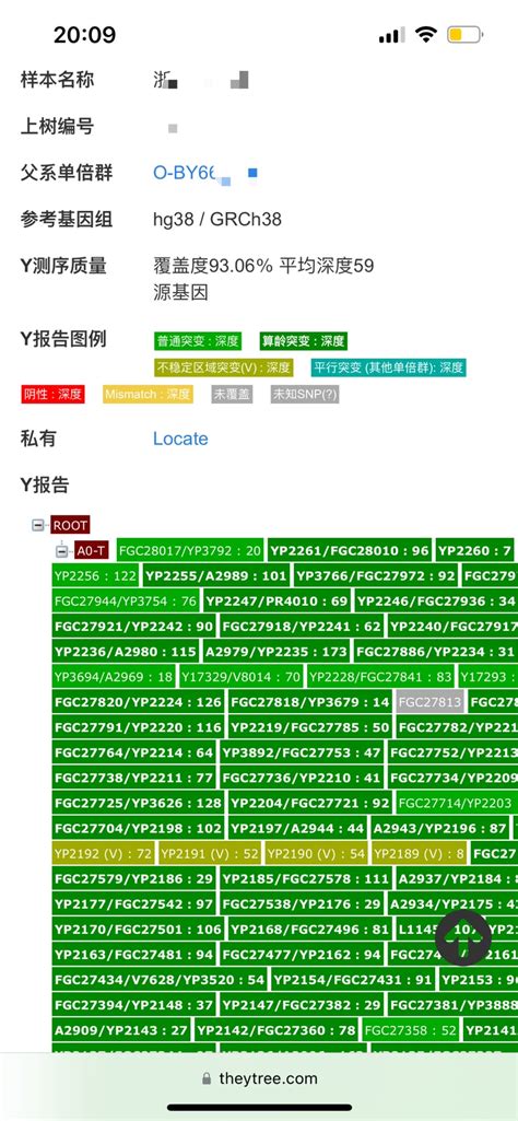 微基因新增第三方应用：祖源树theytree Wegene 微基因 专注个人基因组检测与分析