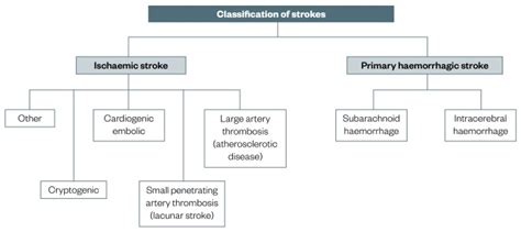 Stroke Classification And Diagnosis The Pharmaceutical Journal