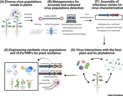 Harnessing Plant Viruses In The Metagenomics Era